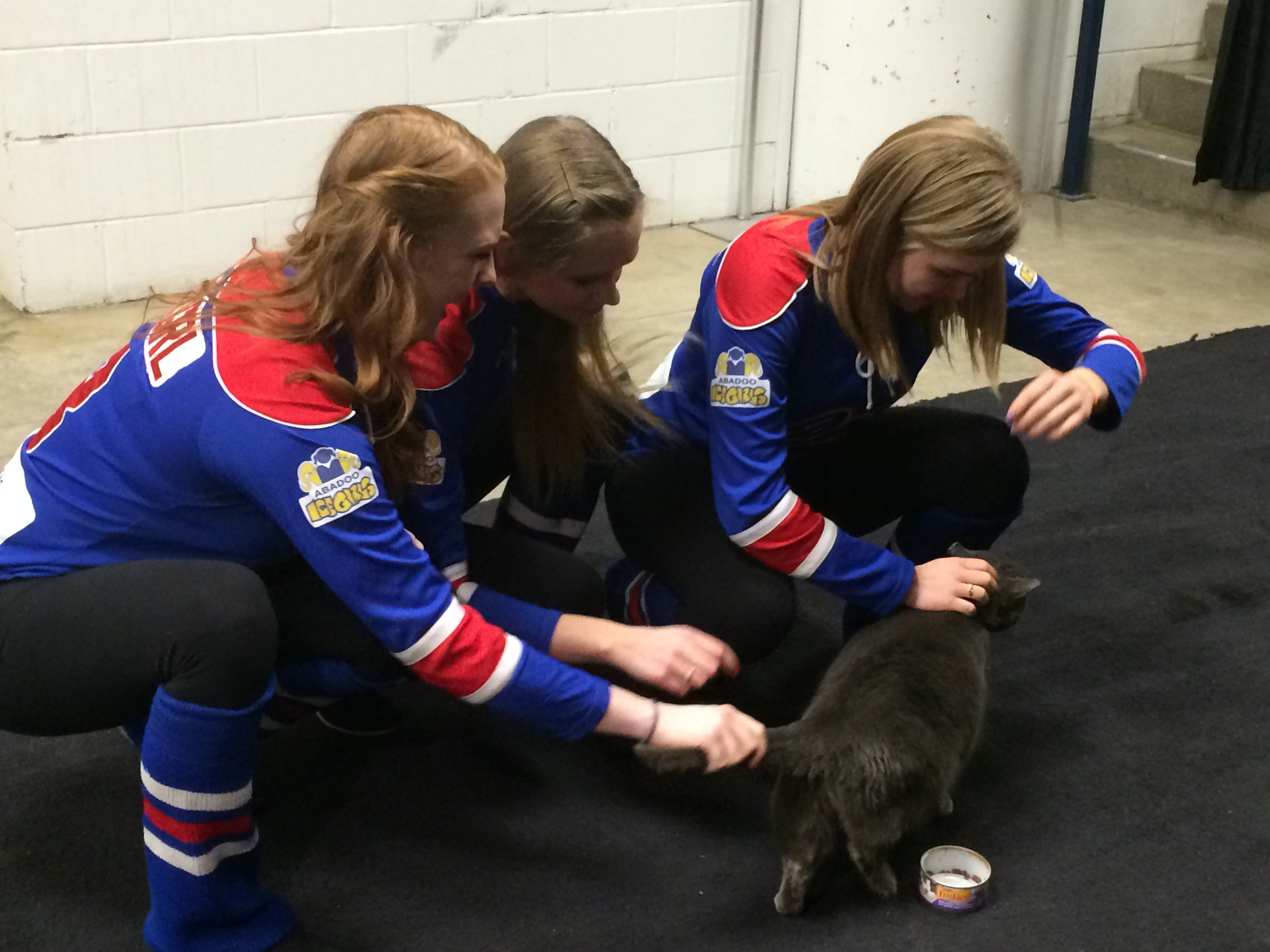 Brandt cat good for more than just mousing - Regina | Globalnews.ca