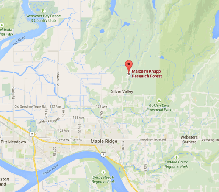 Missing Ridge Meadows hiker found safe - BC | Globalnews.ca