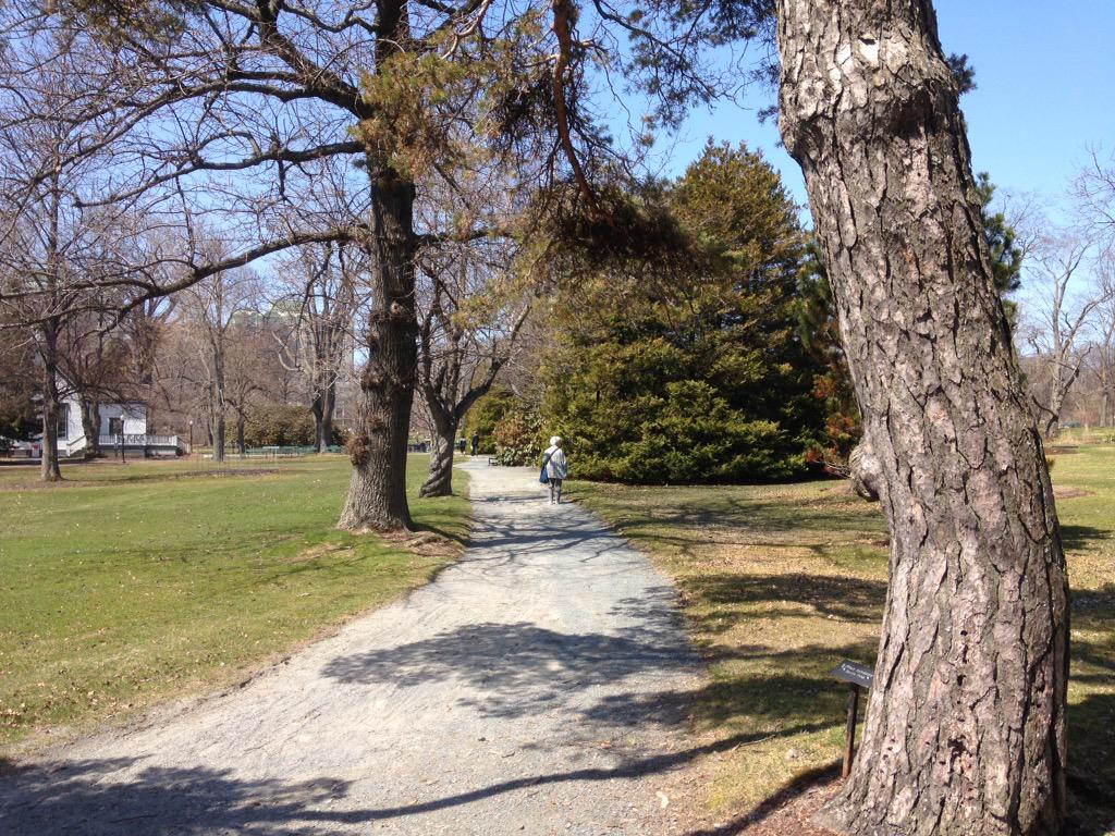 Spring arrives in Halifax: warmer weather means start of allergy season ...