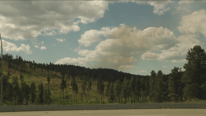 Wildfire north of Cranbrook grows in size | Globalnews.ca