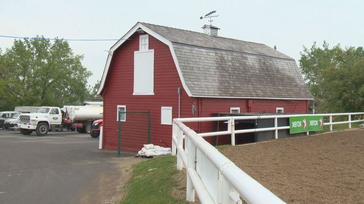 Calgary’s Spruce Meadows equestrian venue celebrates 40 years ...