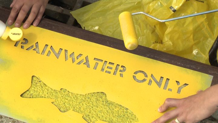 Lethbridge residents follow the ‘Yellow Fish Road’ to clean waters ...