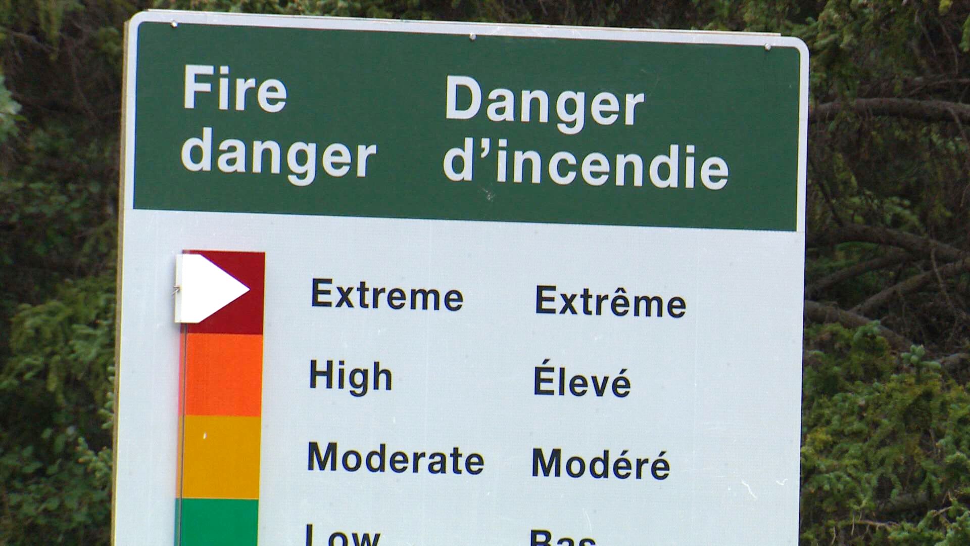 Extreme fire danger rating issued for Metro Vancouver parks - BC ...