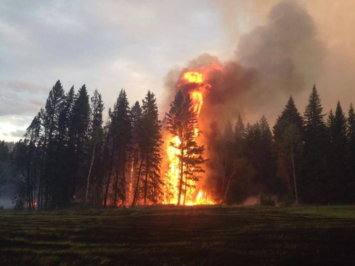 Several fires in the Kootenays, one evacuation alert issued | Globalnews.ca