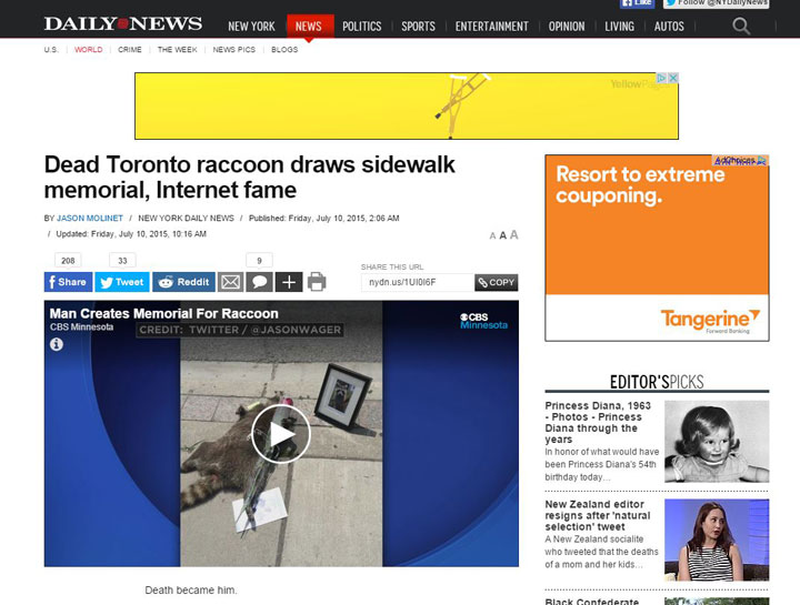 The day the world paid attention to Toronto’s dead raccoon | Globalnews.ca