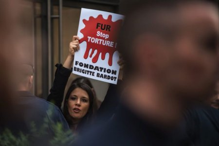 Anti-fur protesters disrupt Paris Fashion Week - National | Globalnews.ca