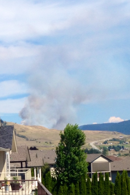 UPDATE: Remaining evacuation alert in Huckleberry fire rescinded ...