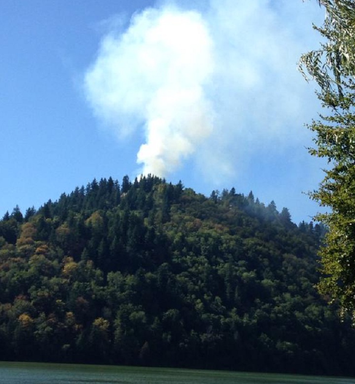 Small wildfire near Hatzic Lake in Mission contained | Globalnews.ca