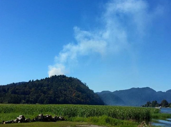 Small wildfire near Hatzic Lake in Mission contained | Globalnews.ca