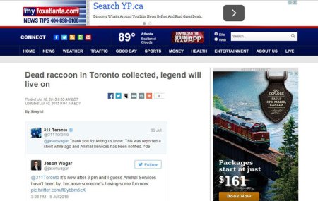The day the world paid attention to Toronto’s dead raccoon | Globalnews.ca