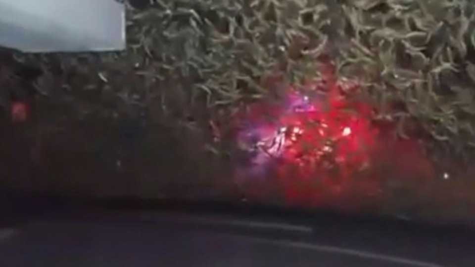 Nightmarish footage shows mayfly swarm shut down bridge, cover police ...