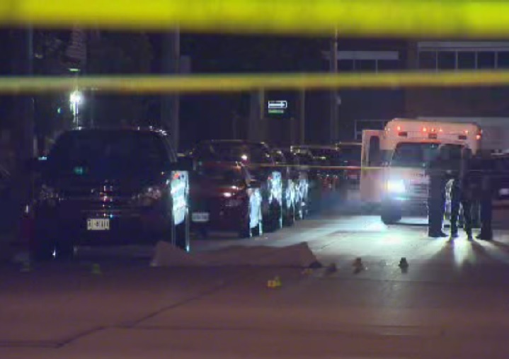 Dog attack did not cause Hamilton man’s death: police - Toronto ...