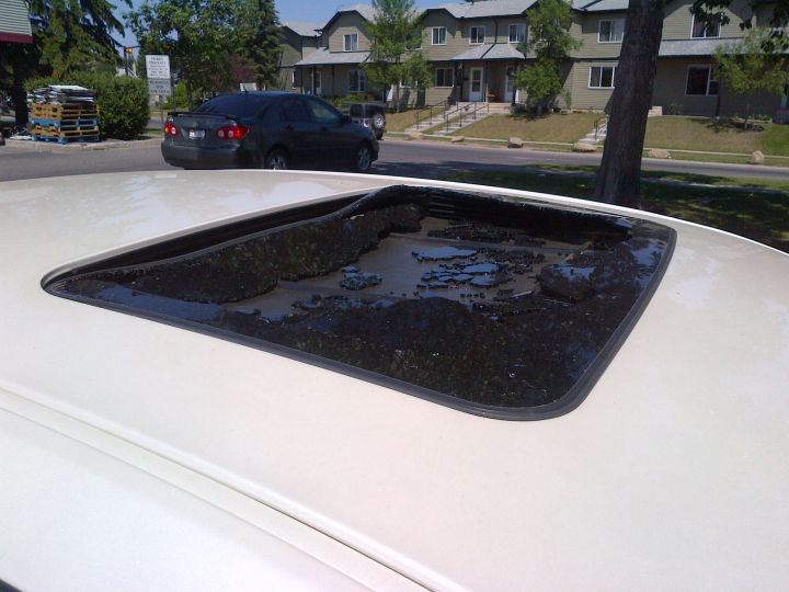 Shattering sunroofs prompt call for investigation - Calgary | Globalnews.ca