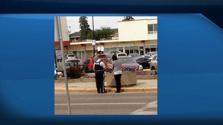 Swift Current RCMP find marijuana plant in planters - Regina ...