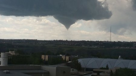 Tornado touched down southwest of Calgary: Environment Canada ...