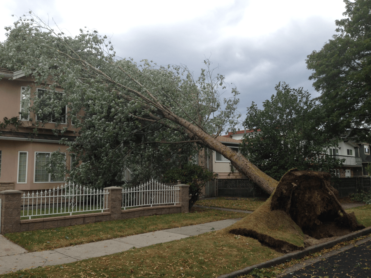 PHOTOS: Largest South Coast storm in a decade causes mass power outages ...
