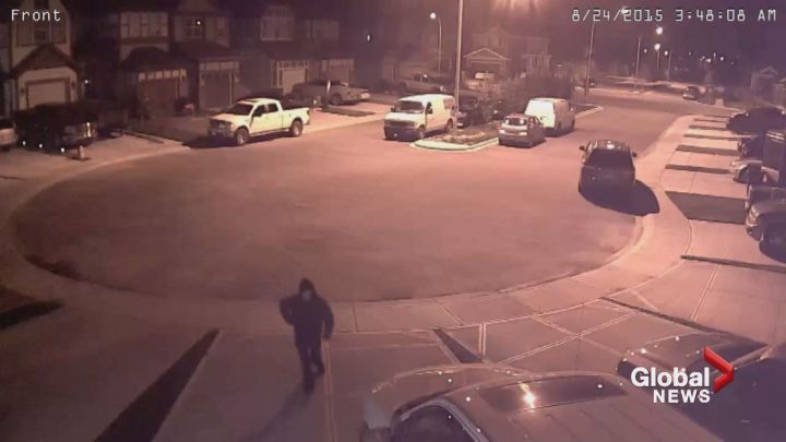 Home surveillance video captures possible car prowler in Calgary’s ...