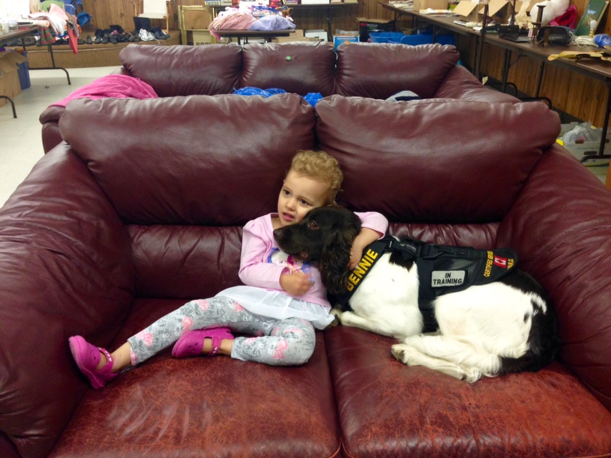 WATCH: Manitoba family calls donated service dog a lifesaver - Winnipeg ...