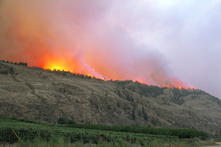 PHOTOS: A visual look at the last three days of fires in southern B.C ...