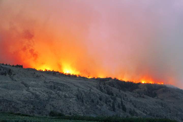 PHOTOS: A visual look at the last three days of fires in southern B.C ...