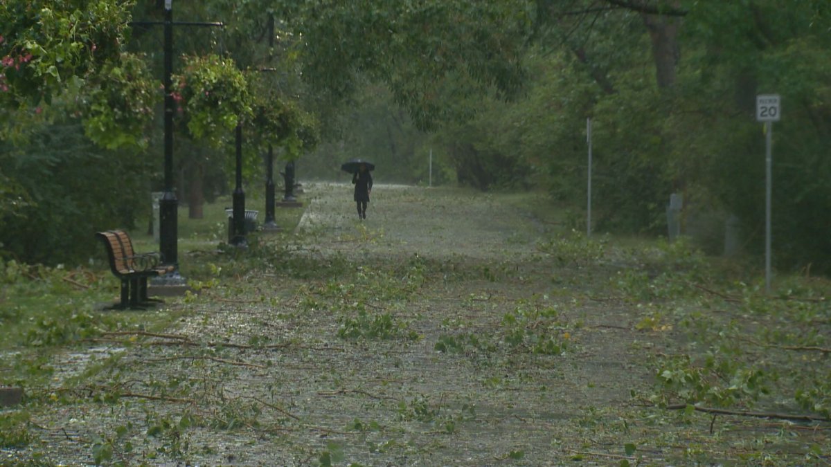 Cleanup underway, power restored after intense August storm hit Calgary ...