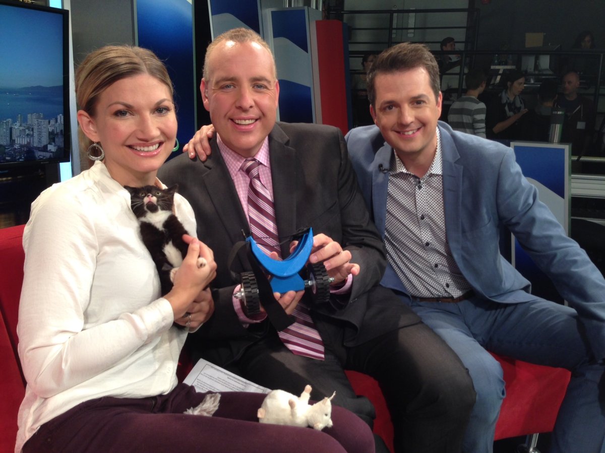 B.C. students create 3D printed wheelchair for disabled kitten - BC ...