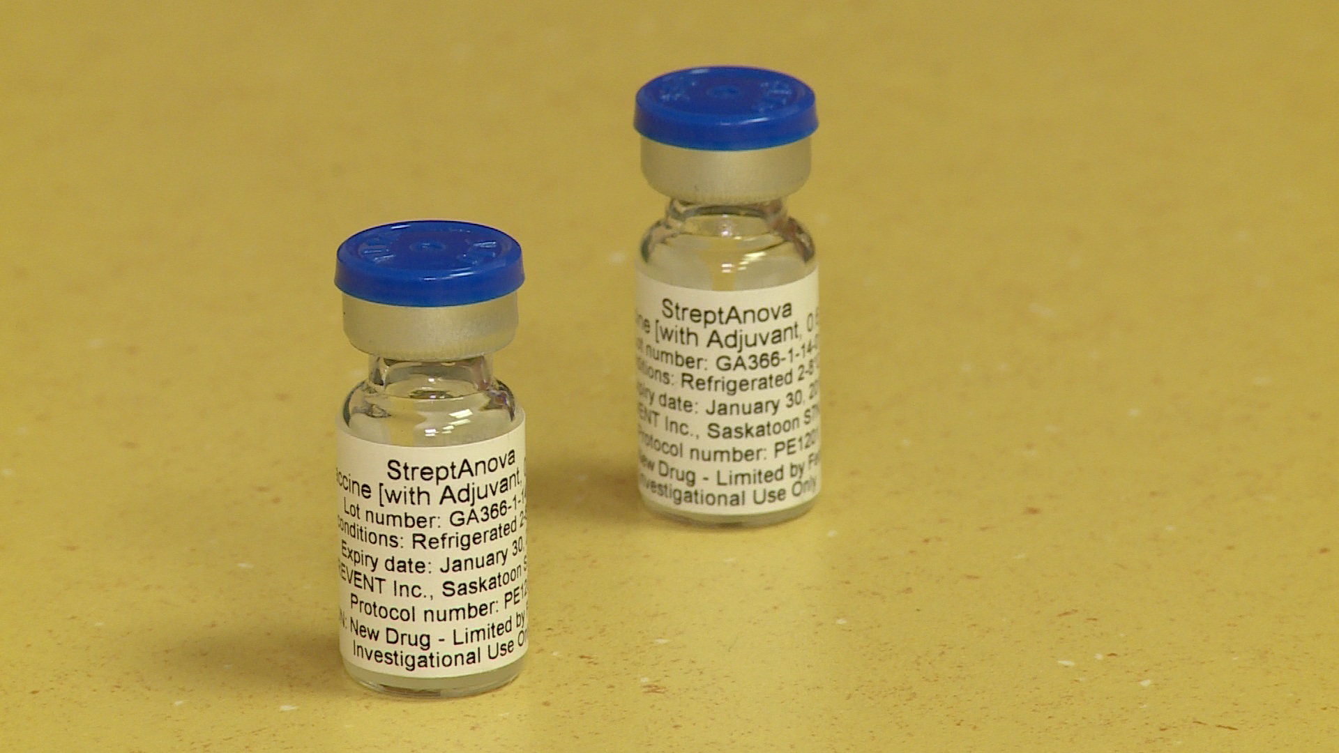 Halifax researchers testing vaccine for strep throat | Globalnews.ca