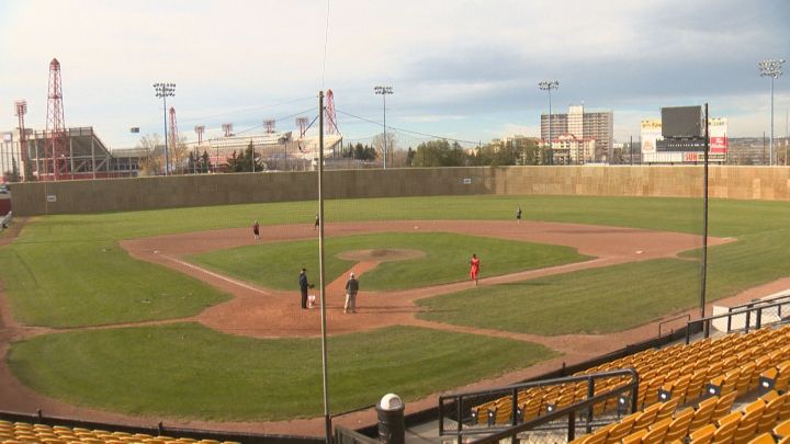 Calgary baseball pros hoping Blue Jays’ success will give sport a boost ...