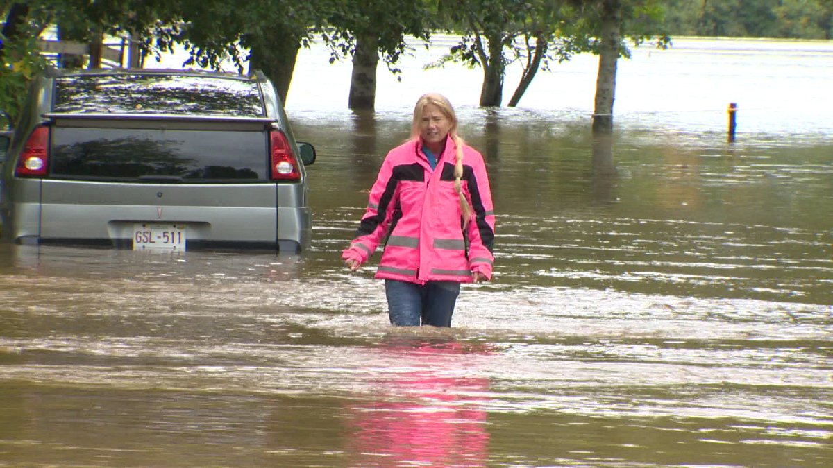 Washouts, damage reported throughout N.B. after 160 millimetres of ...