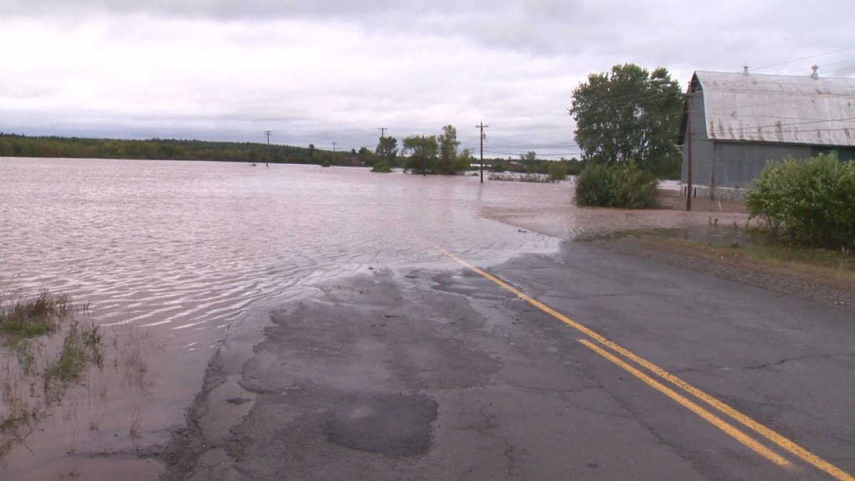 Washouts, damage reported throughout N.B. after 160 millimetres of ...