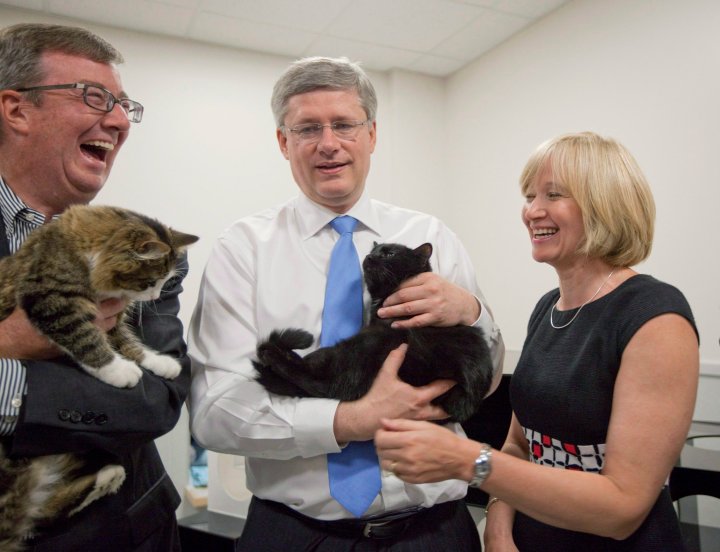 Goodbye kitty: Harpers’ pets on the move too | Globalnews.ca