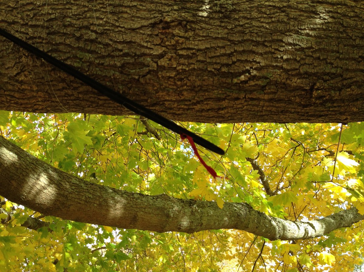 Vandalism of REDress art project seen as further violation of missing ...