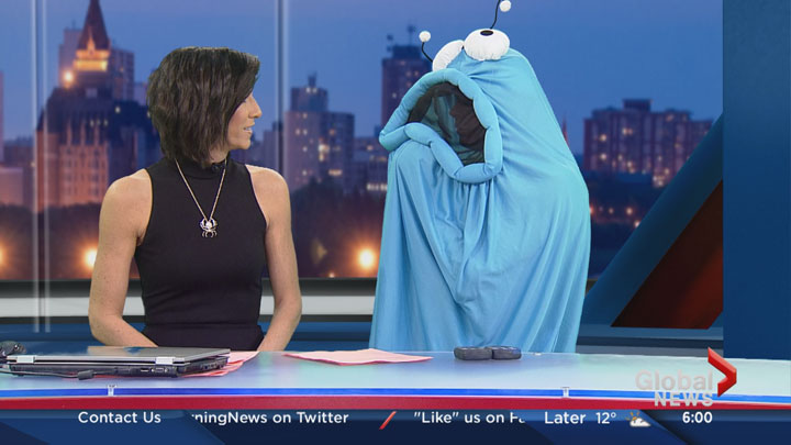 The six faces of Kevin Stanfield - Saskatoon | Globalnews.ca