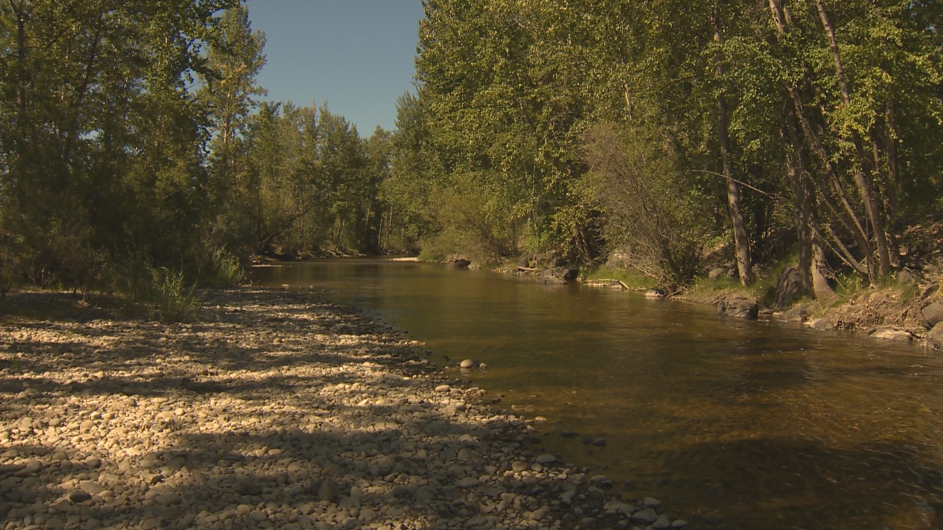 Mission Creek restoration project moving forward - Okanagan | Globalnews.ca