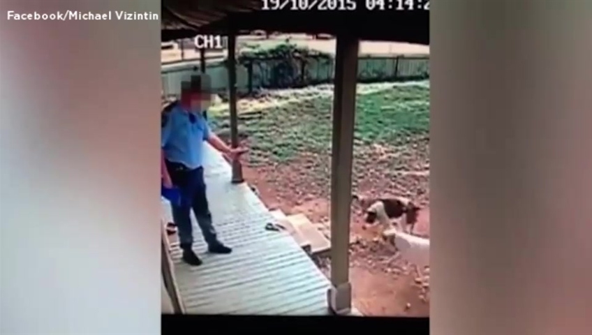 Australian man records police officer pepper spraying his dogs ...