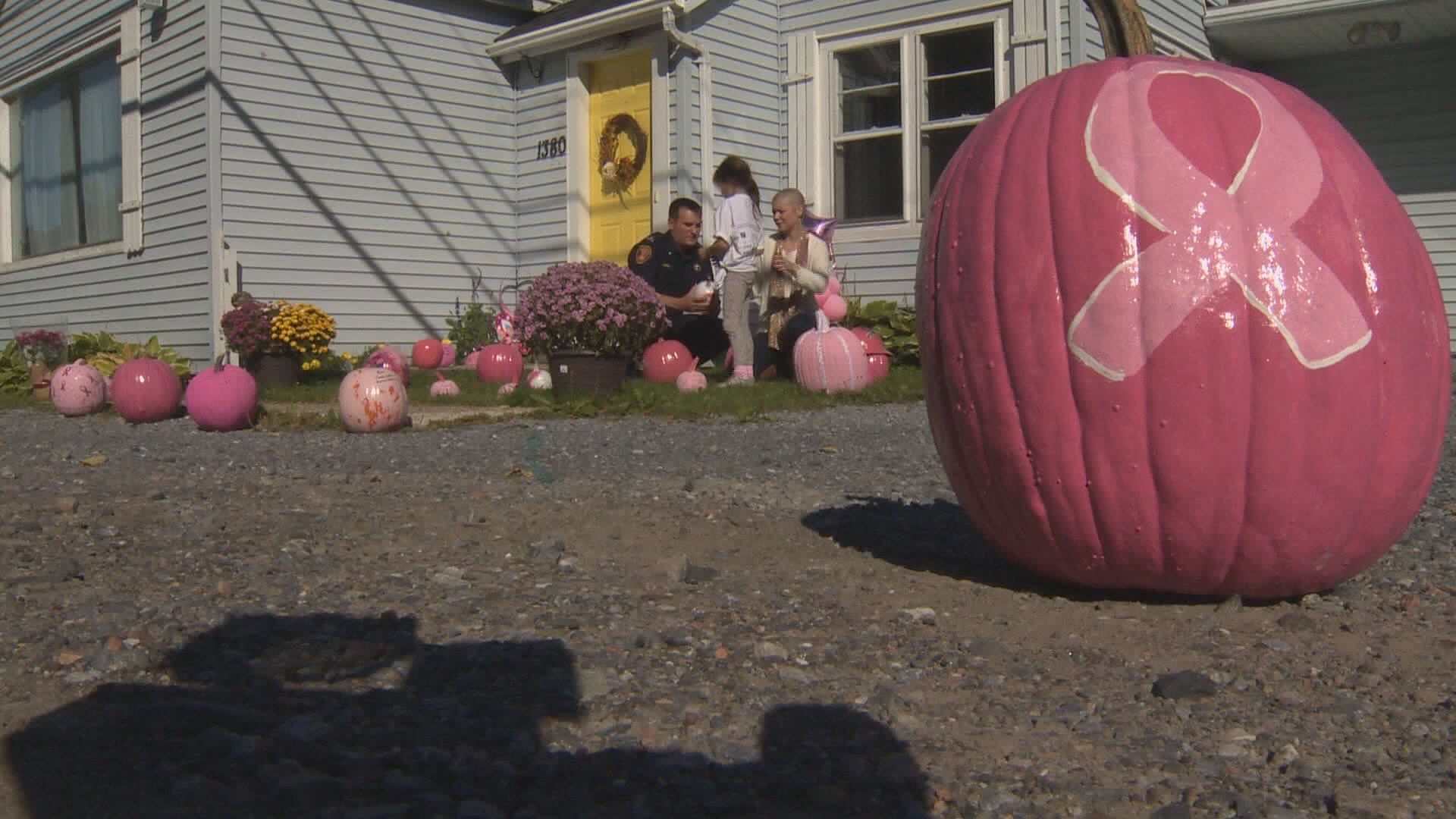 Yard-full of pink pumpkins “reignited the fight” for cancer fighter ...