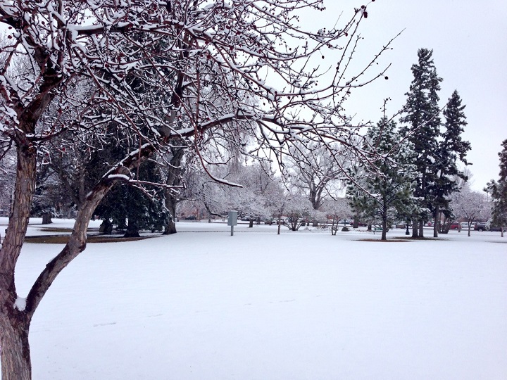 First snowfall of the season for Lethbridge - Lethbridge | Globalnews.ca
