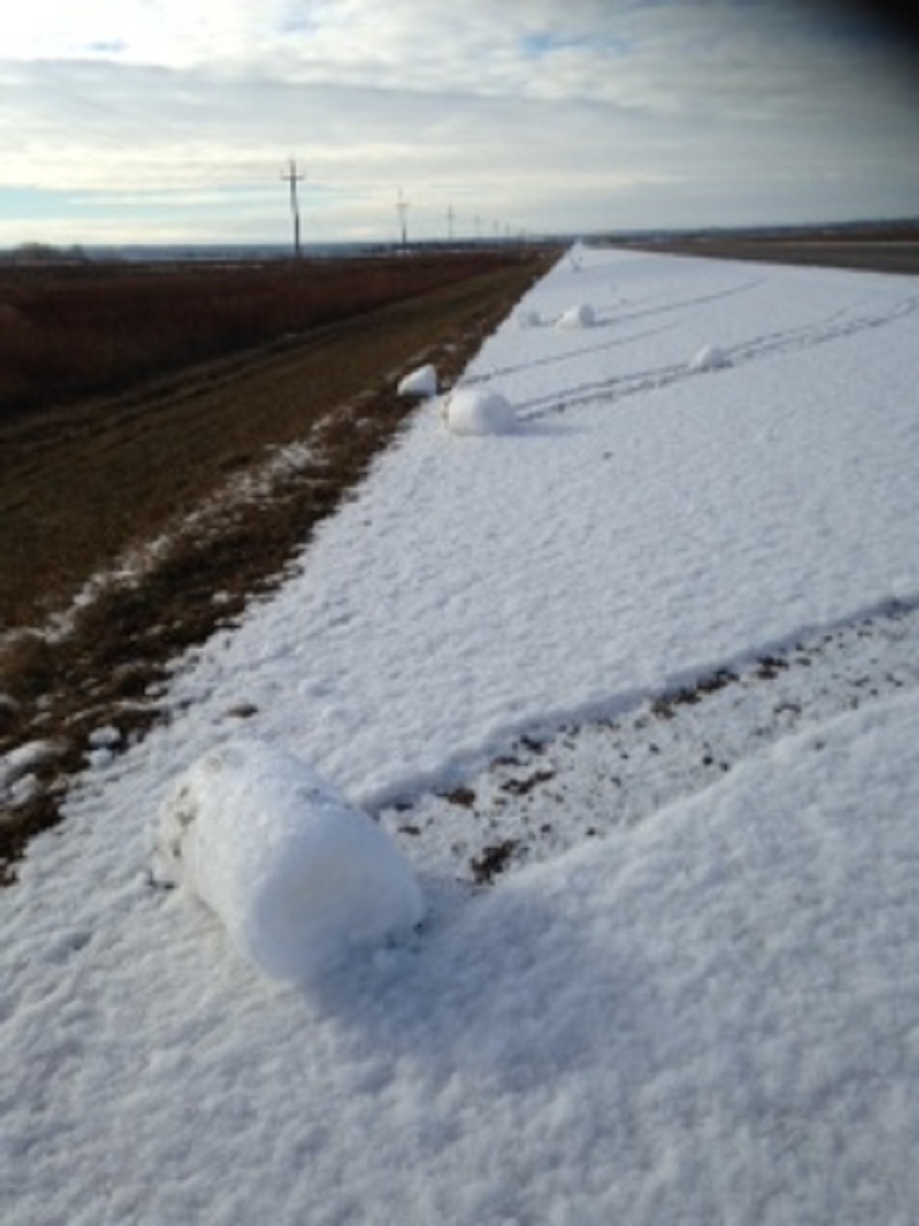 Unique snow rollers spotted in Manitoba - Winnipeg | Globalnews.ca