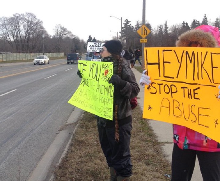 Dozens gather in front of Bowmanville Zoo to protest animal abuse ...