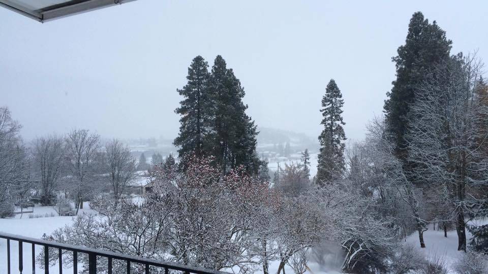 PHOTOS: It’s a white Christmas Eve (morning) for many parts of BC - BC ...