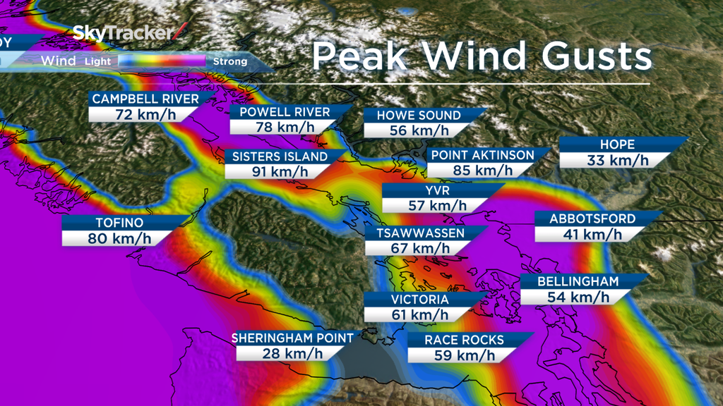 Strong winds, rain slam coast of B.C. | Globalnews.ca