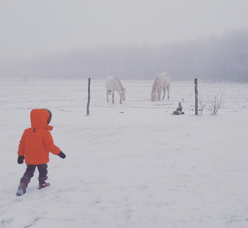 Your Manitoba: December 2015 - Winnipeg | Globalnews.ca
