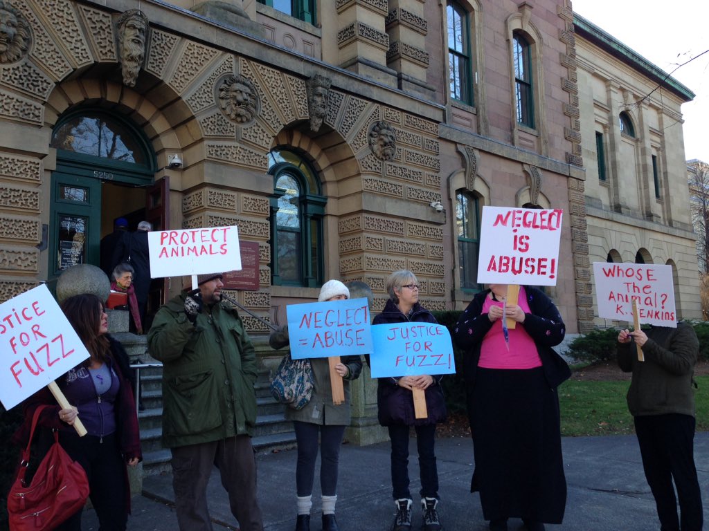 Protesters gather as owner of Fuzz the cat contests animal cruelty ...