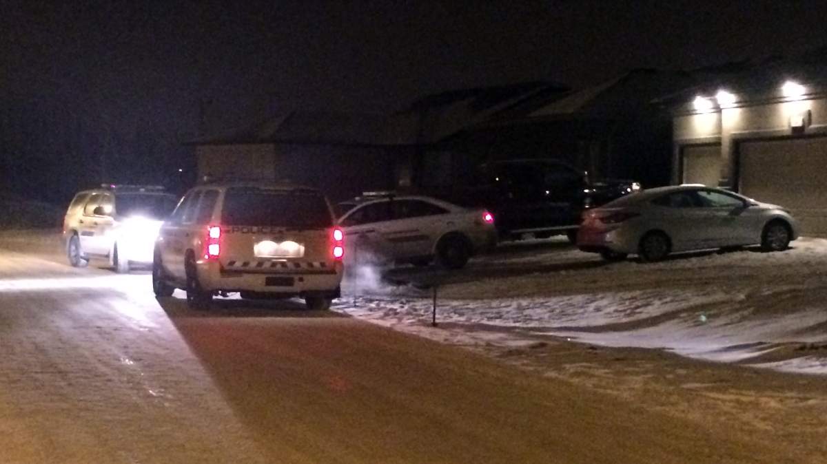 One person arrested after alleged domestic violence incident in White ...