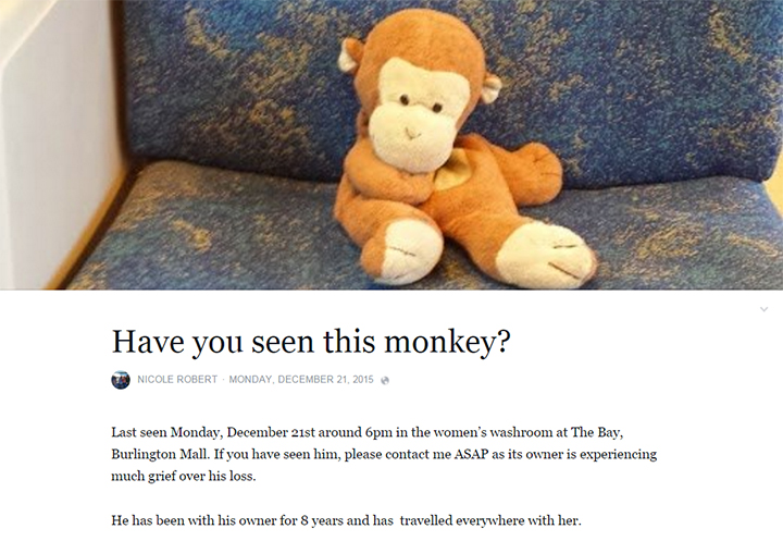 Ontario mother hopes to solve daughter’s missing monkey mystery in time ...