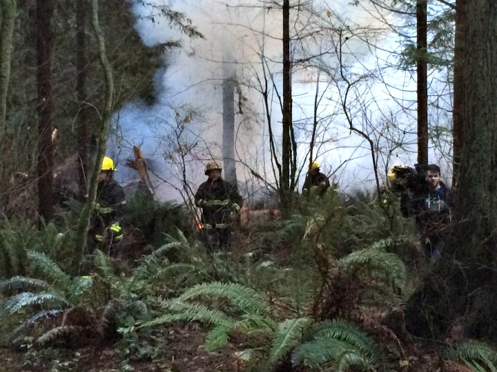 Fire destroys centuries-old tree in Stanley Park - BC | Globalnews.ca