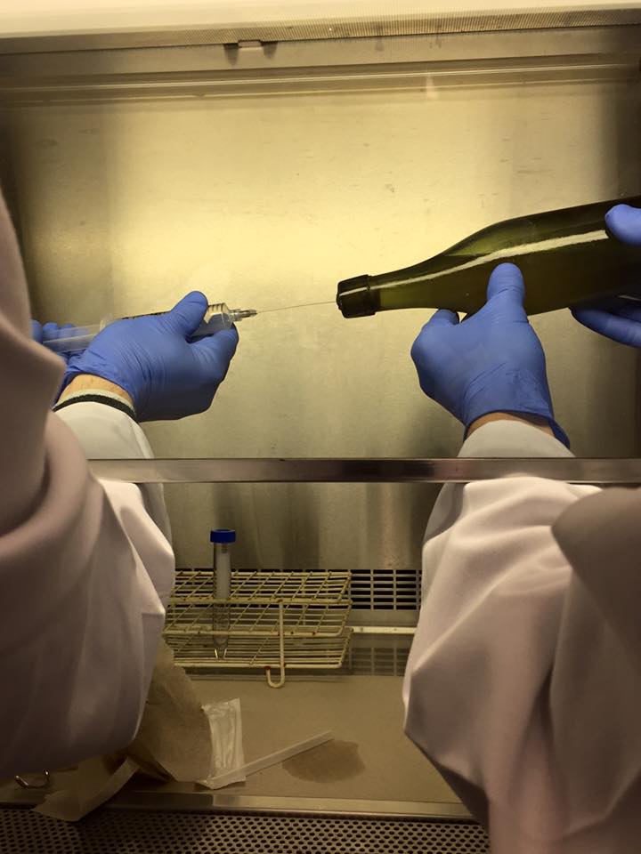 Lab, taste tests confirm liquid inside century-old beer bottle is ...