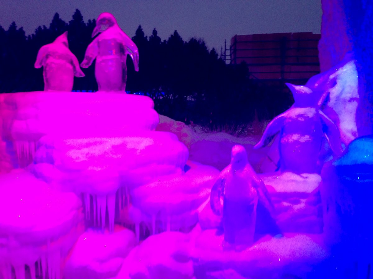 Global’s Morning News previews The Great Ice Show at The Forks ...