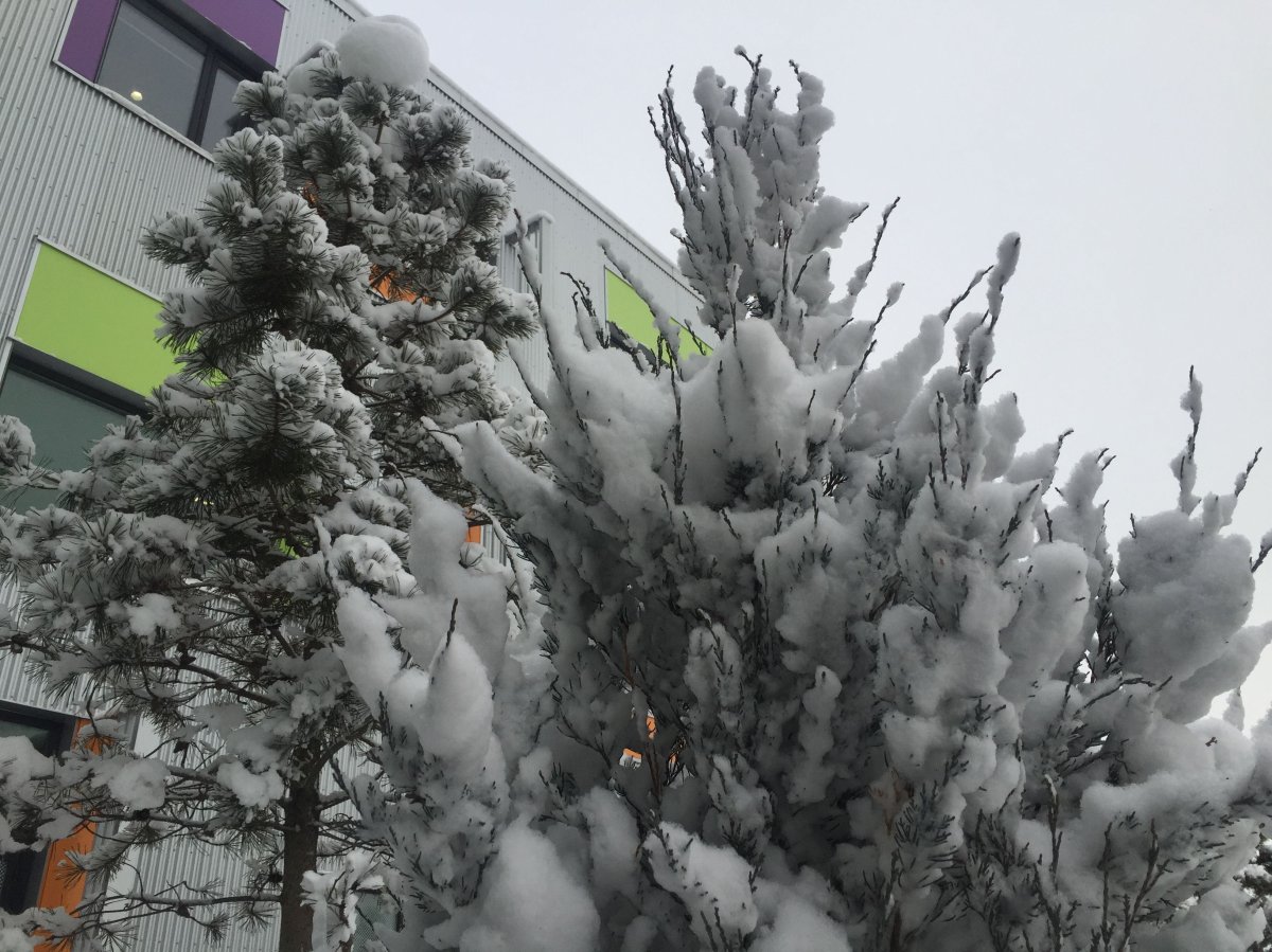 What is refinery snow and how does it cause localized heavy snowfall ...