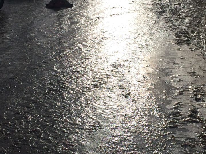 Slippery sidewalks? It’s time to channel your inner penguin - Edmonton ...